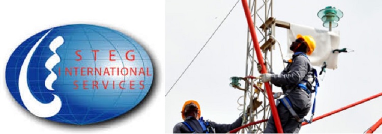 Tunisia: STEG International improves its net profits by 43% to 12.7 MD ...